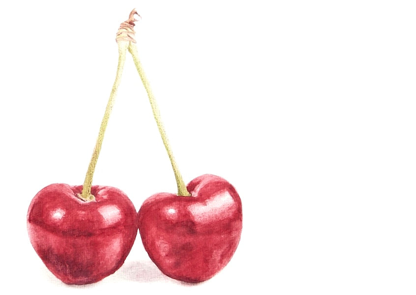 Watercolour Cherry Print – clove bird